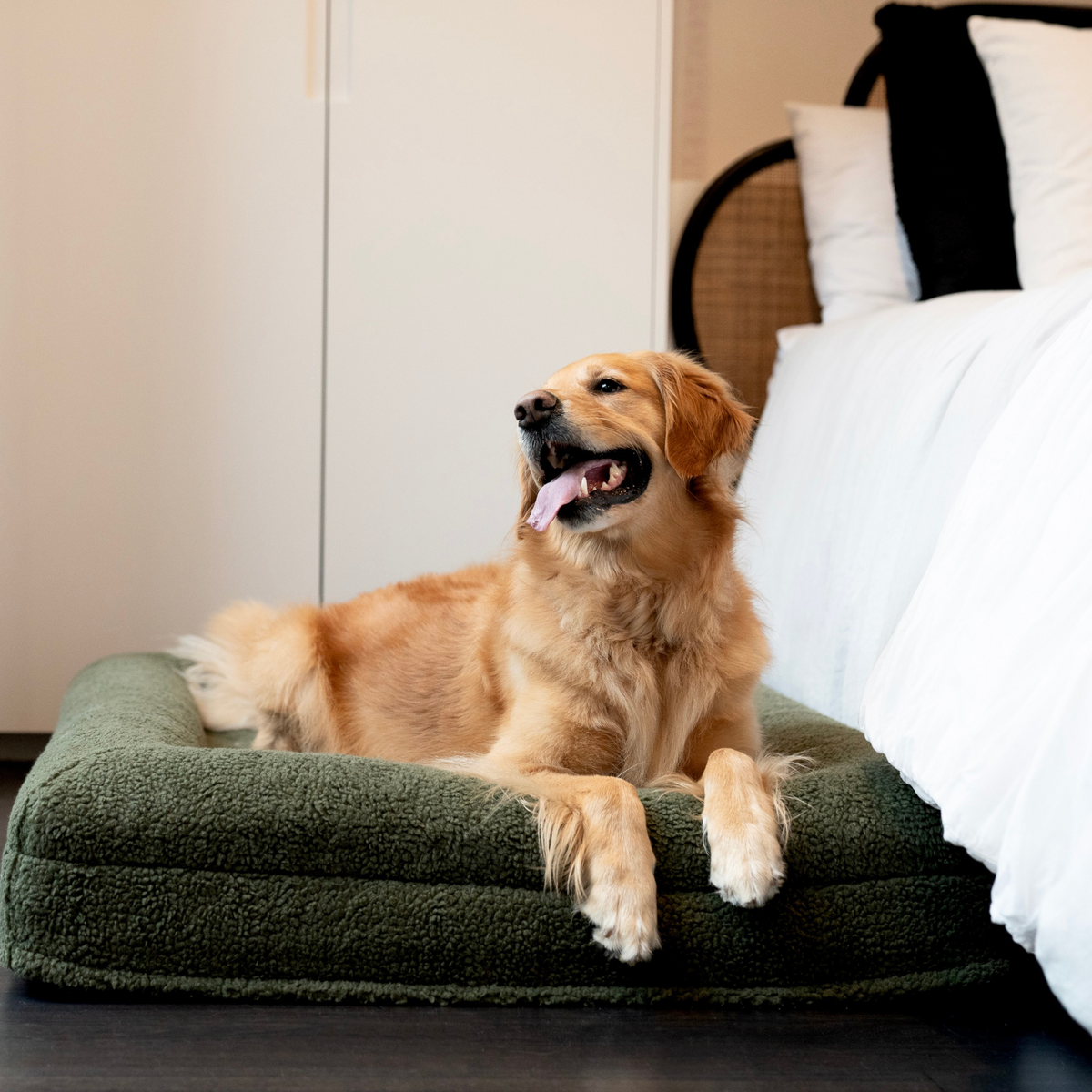 Premium Orthopaedic Memory Foam Dog Bed in Deluxe Teddy – Furlore